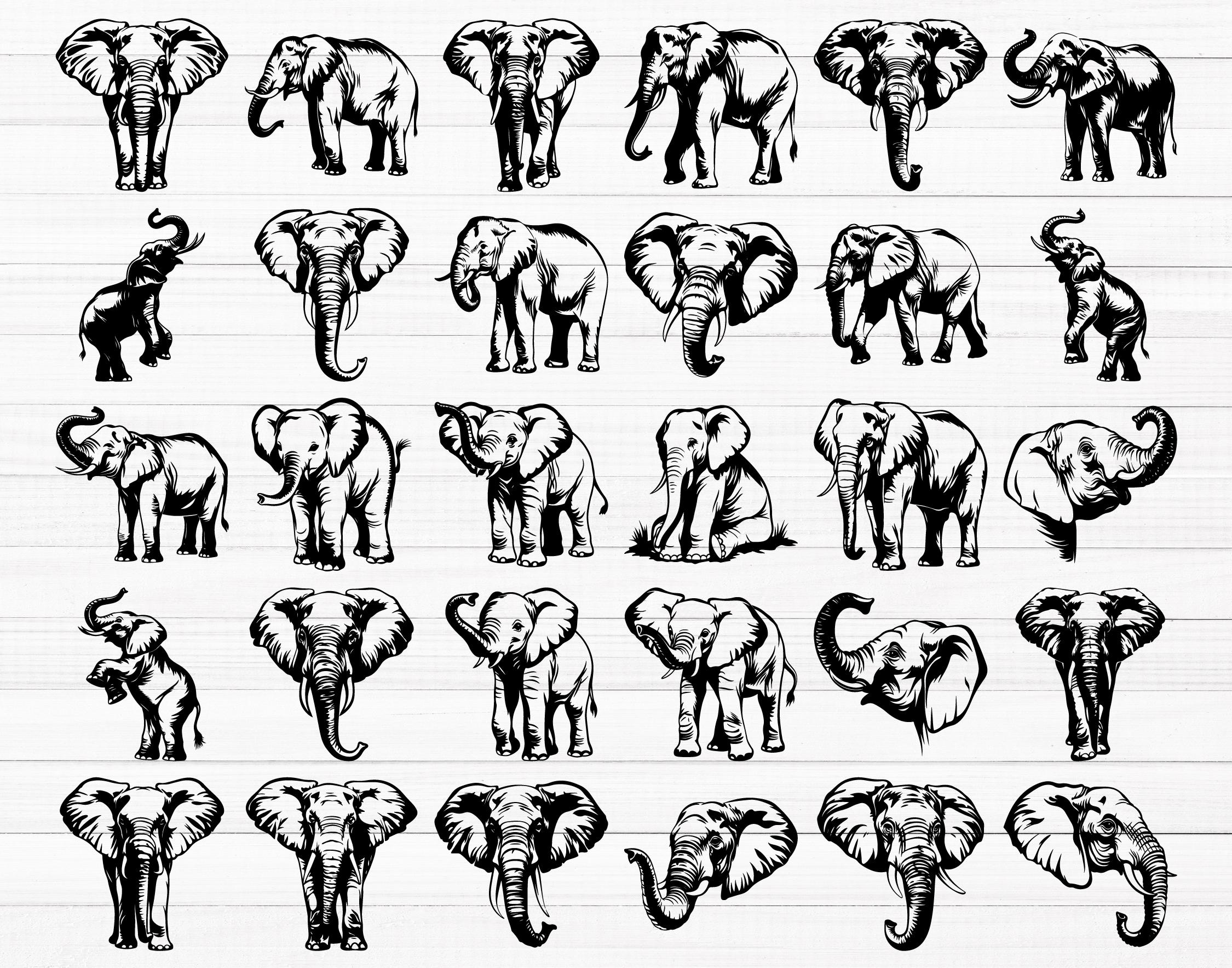 Elephant SVG Bundle (90 SVG & PNG Files) Instant Download, Commercial ...