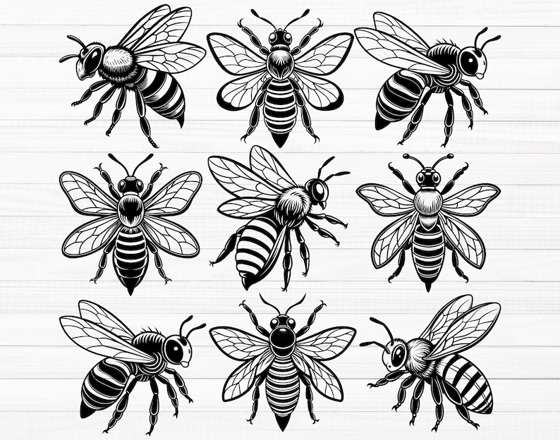 Paquete SVG de abeja, abeja de miel svg, abeja voladora svg, silueta de ...