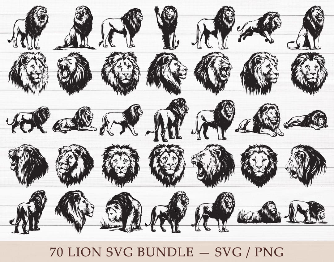 Lion SVG, Lion Silhouette, Lion Head Svg, Lion Vector, Lion Svg Bundle ...