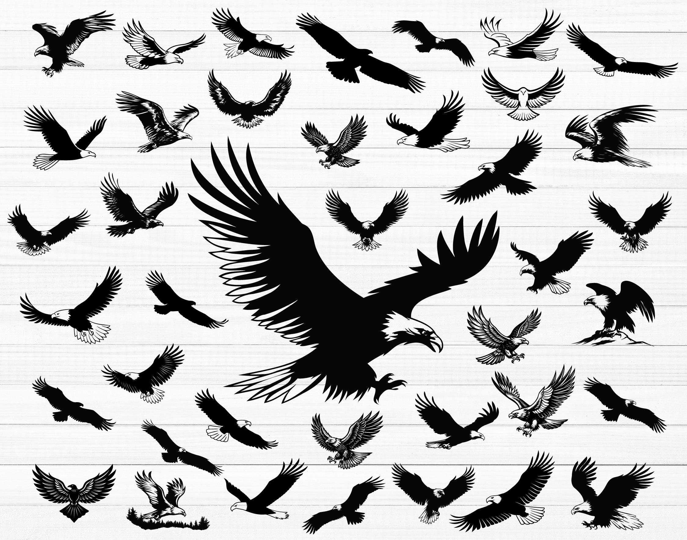 Fliegender Adler SVG, Adler SVG, fliegender Adler Clipart, Adler Png ...