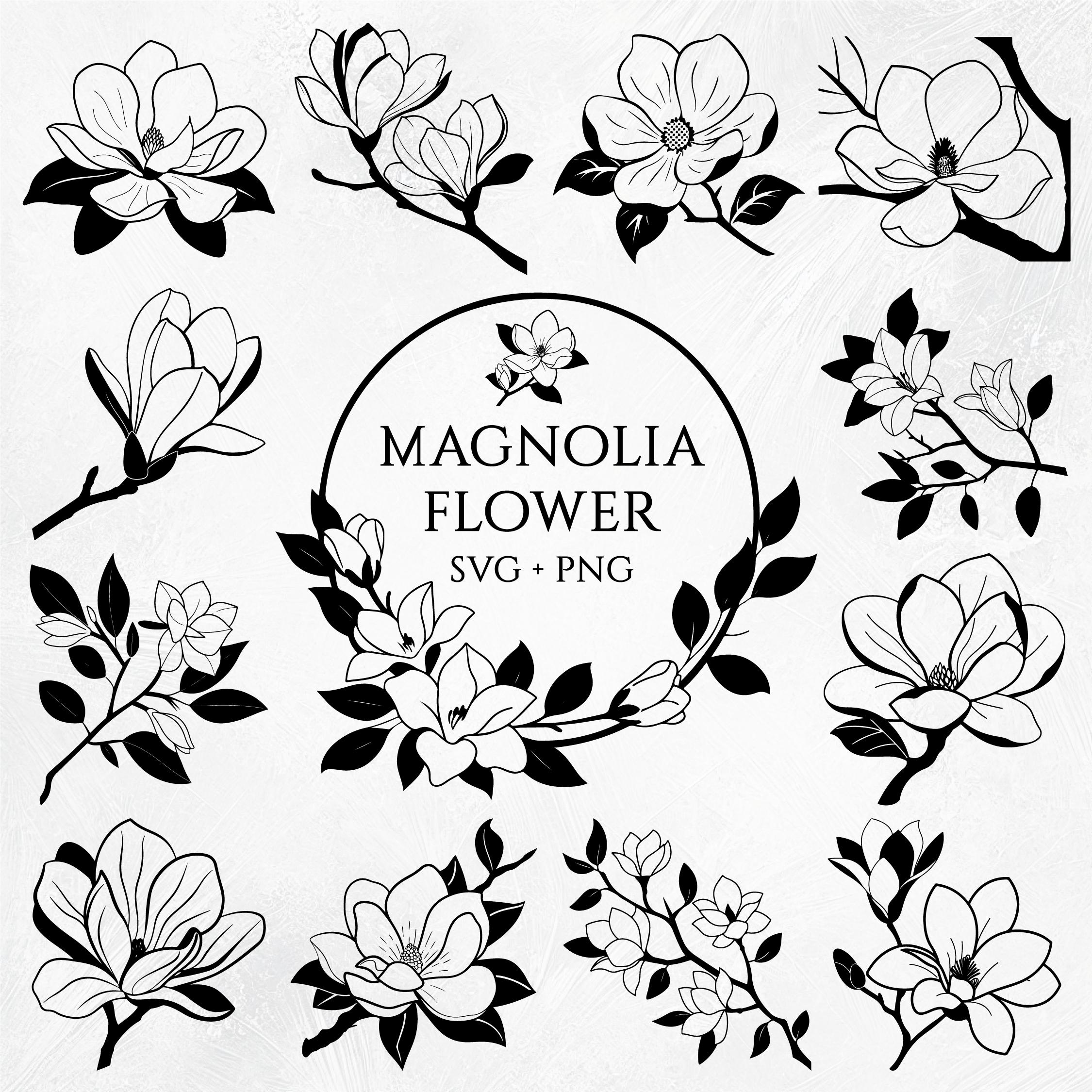 Magnolia SVG, Magnolia Flower Svg, Magnolia Line Art Clipart, Magnolia ...