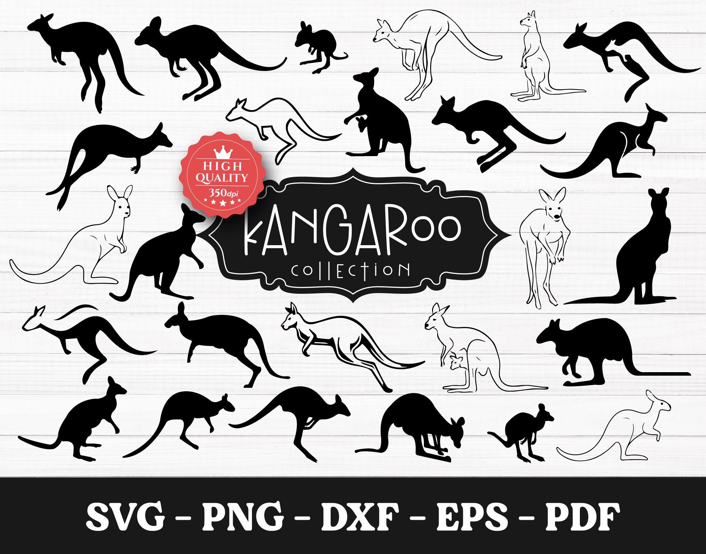 Kangaroo SVG, Kangaroo Silhouette, Kangaroo Svg Bundle, Animal ...