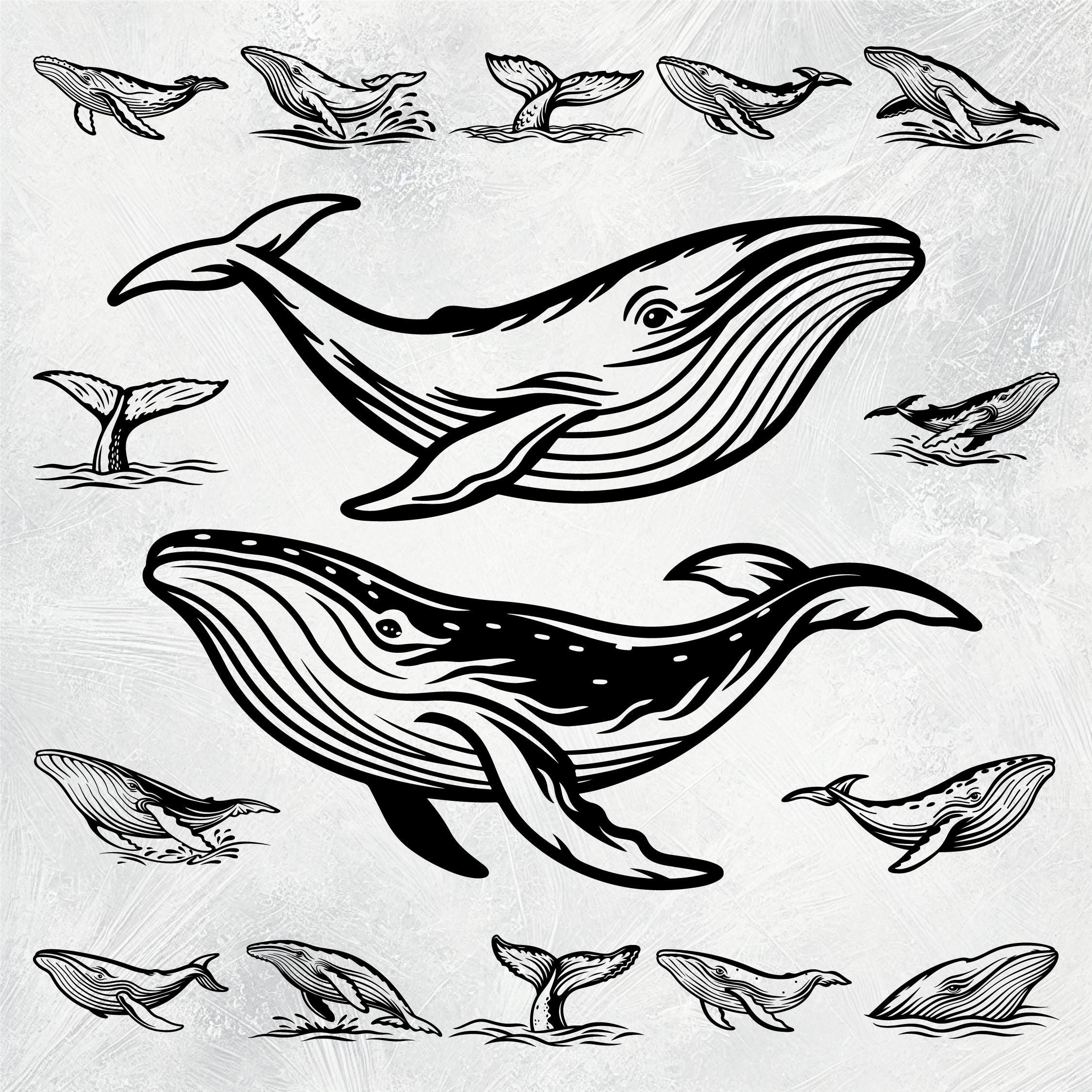 Humpback Whale SVG Bundle (25 SVG & PNG Files) Instant Download ...