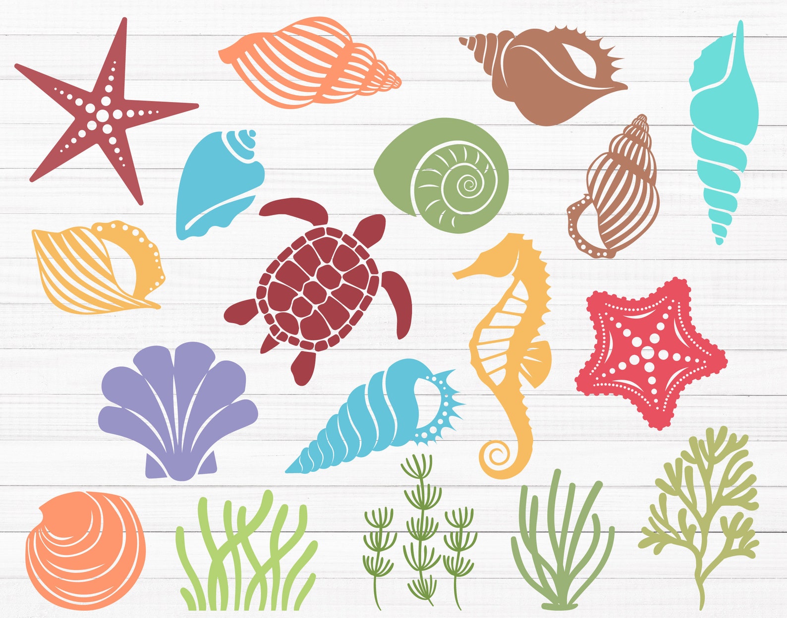 Ocean Animals SVG Bundle, Sea Shells Ocean, Seahorse Svg, Starfish Svg ...