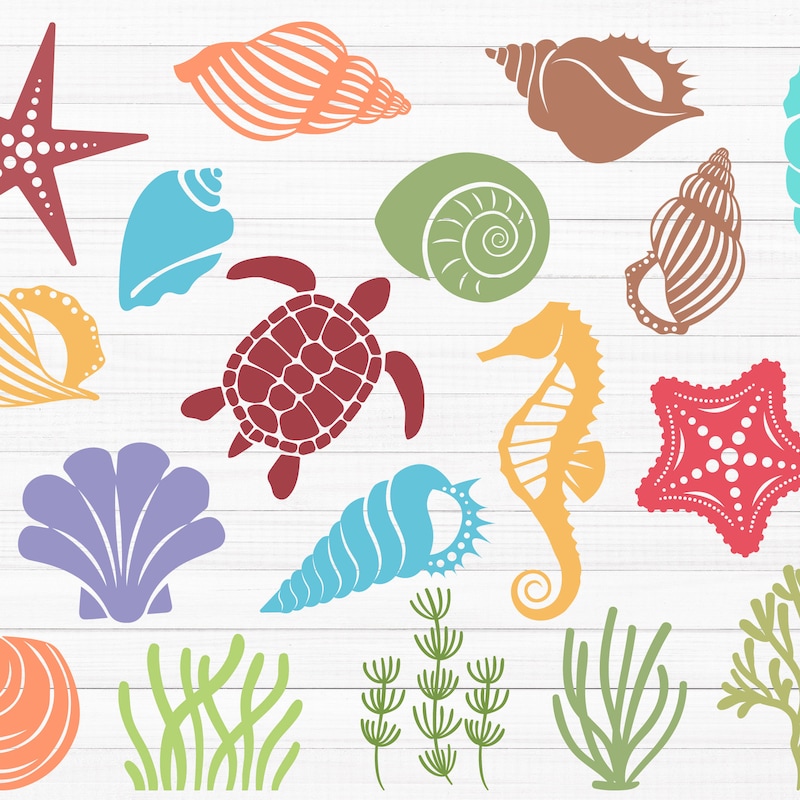 Ocean Animals Svg - Etsy