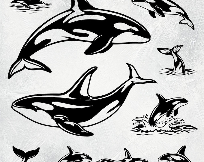 Orca Svg, Whale Svg, Orca Whale, Killer Whale, Whale Clipart, Whale Png ...