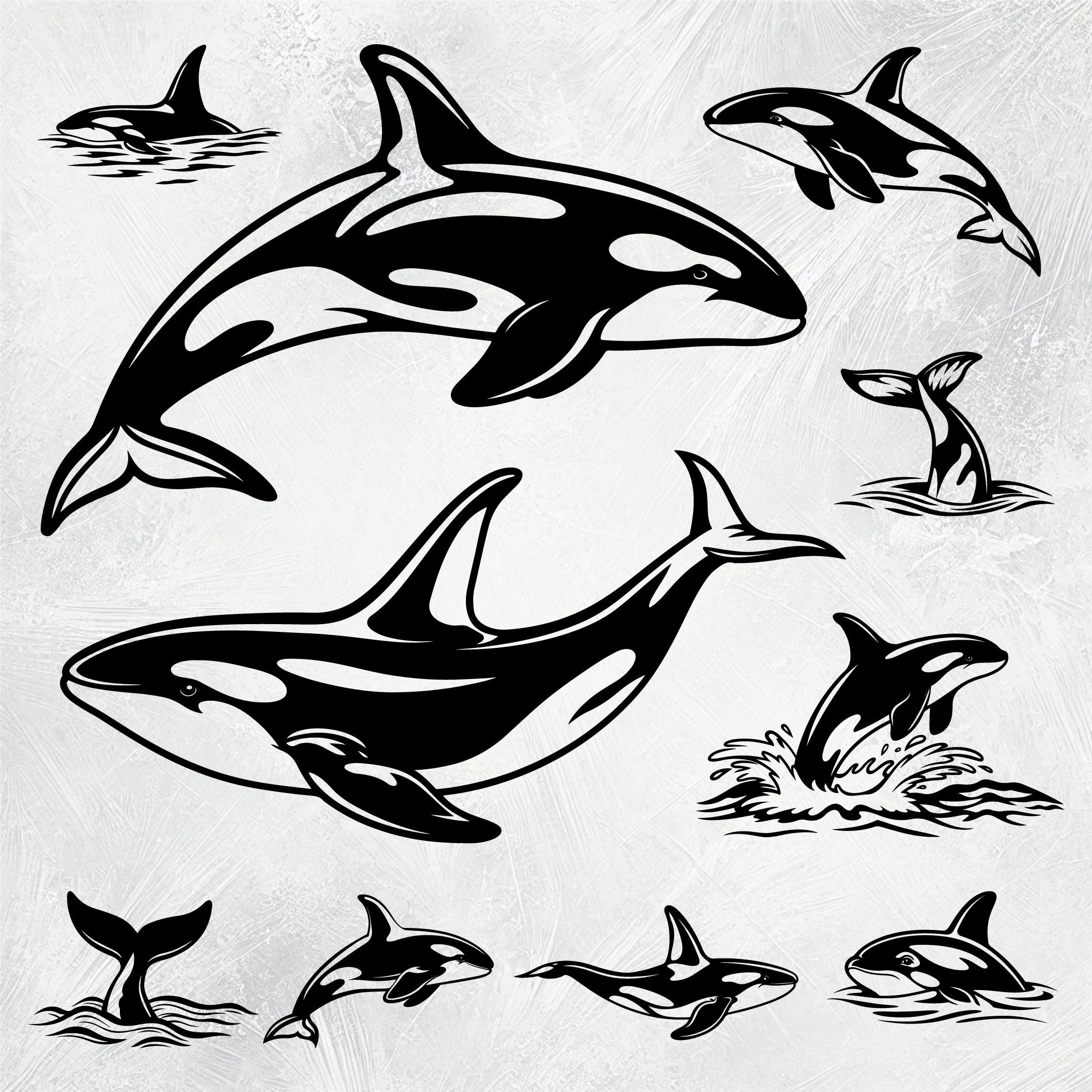 Whale SVG, Orca Whale Svg, Orca Whale Silhouette, Orca Whale Clipart ...