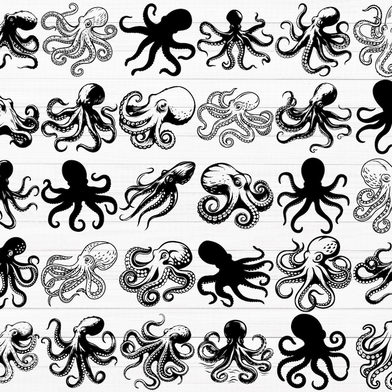 Octopus Line Drawing Svg - Etsy