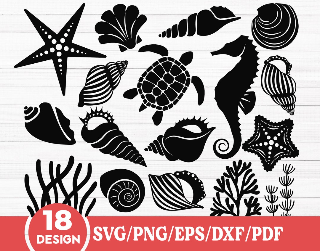 Ocean Animals SVG Bundle, Sea Shells Ocean, Seahorse Svg, Starfish Svg ...