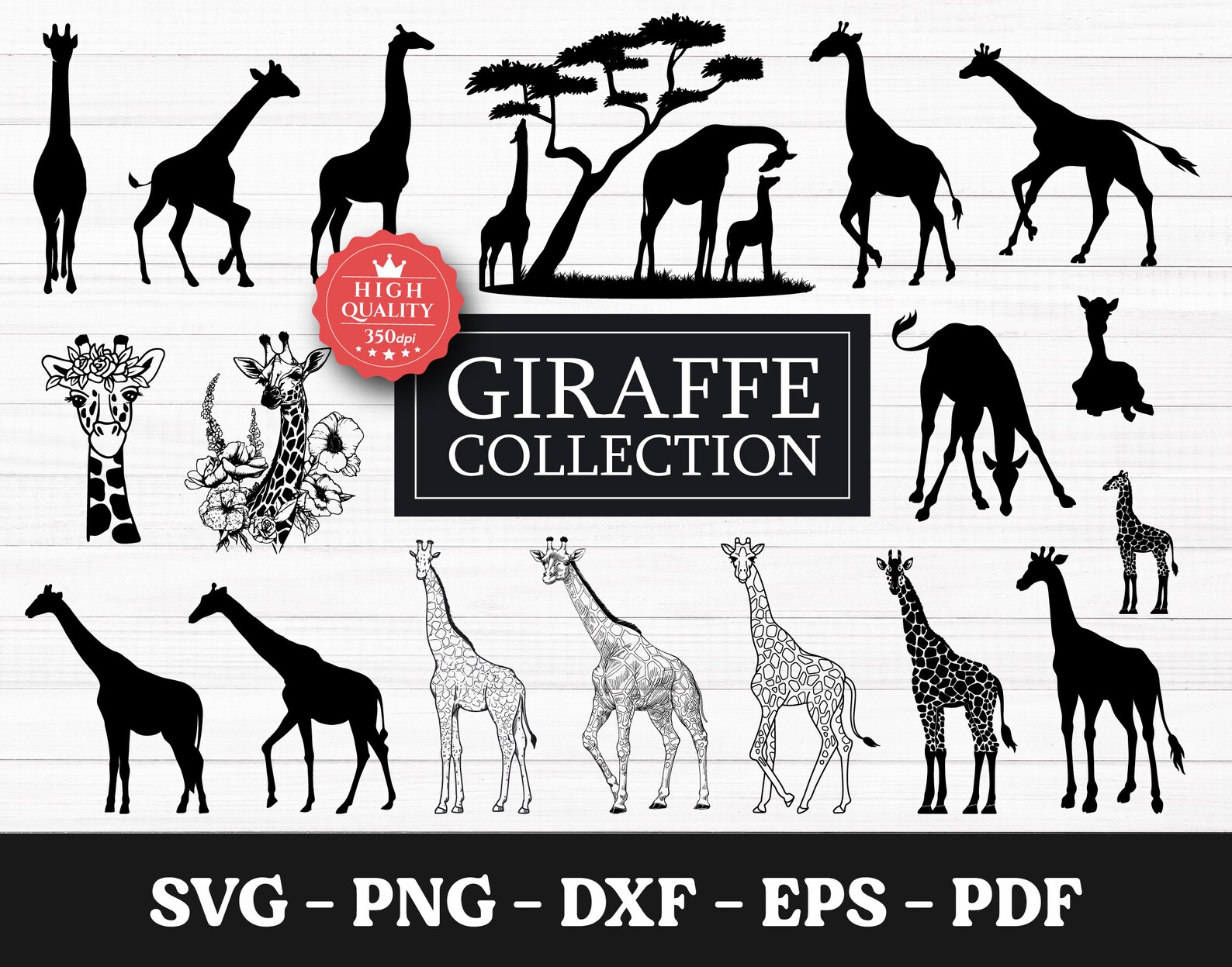 Giraffe SVG Bundle (25 Files: SVG, PNG & More) Instant Download ...