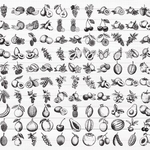 Fruit SVG Bundle (140 SVG & PNG Files) Instant Download, Commercial Use ...