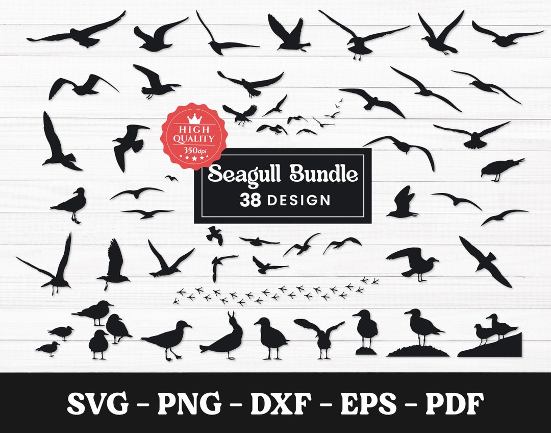 Bird SVG, Flying Seagull Svg, Seagull Svg Bundle, Seagull Silhouette ...