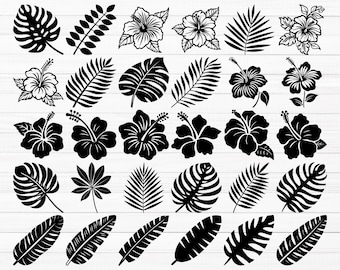 Tropical Floral Svg, Tropical Plant Svg, Hibiscus Svg, Monstera Leaf ...
