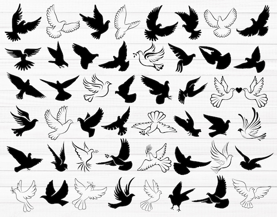 Silueta De Palomas Vector Siluetas Paloma Descargar Vectores Gratis