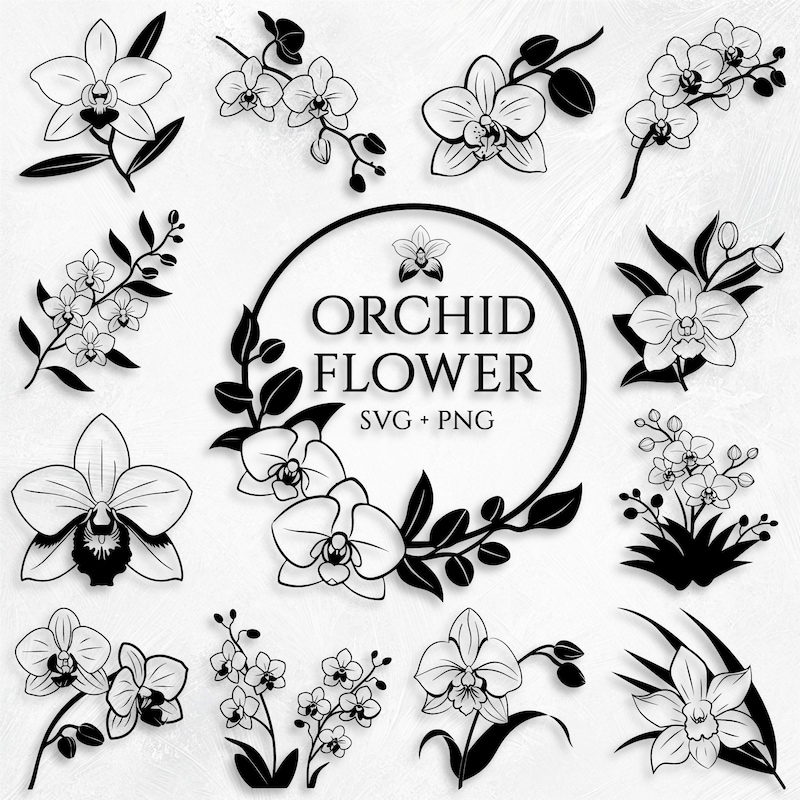 Orchid Digital Wall Art - Etsy
