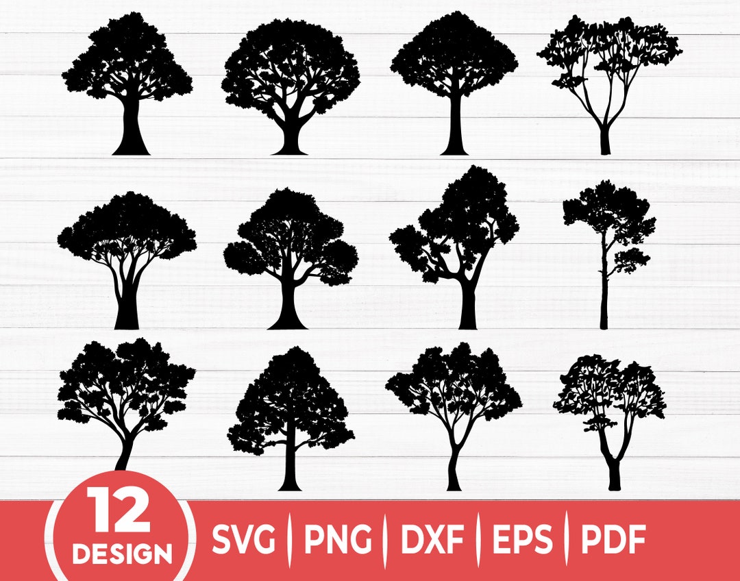 Paquete SVG de árbol silueta de árbol imágenes prediseñadas - Etsy México