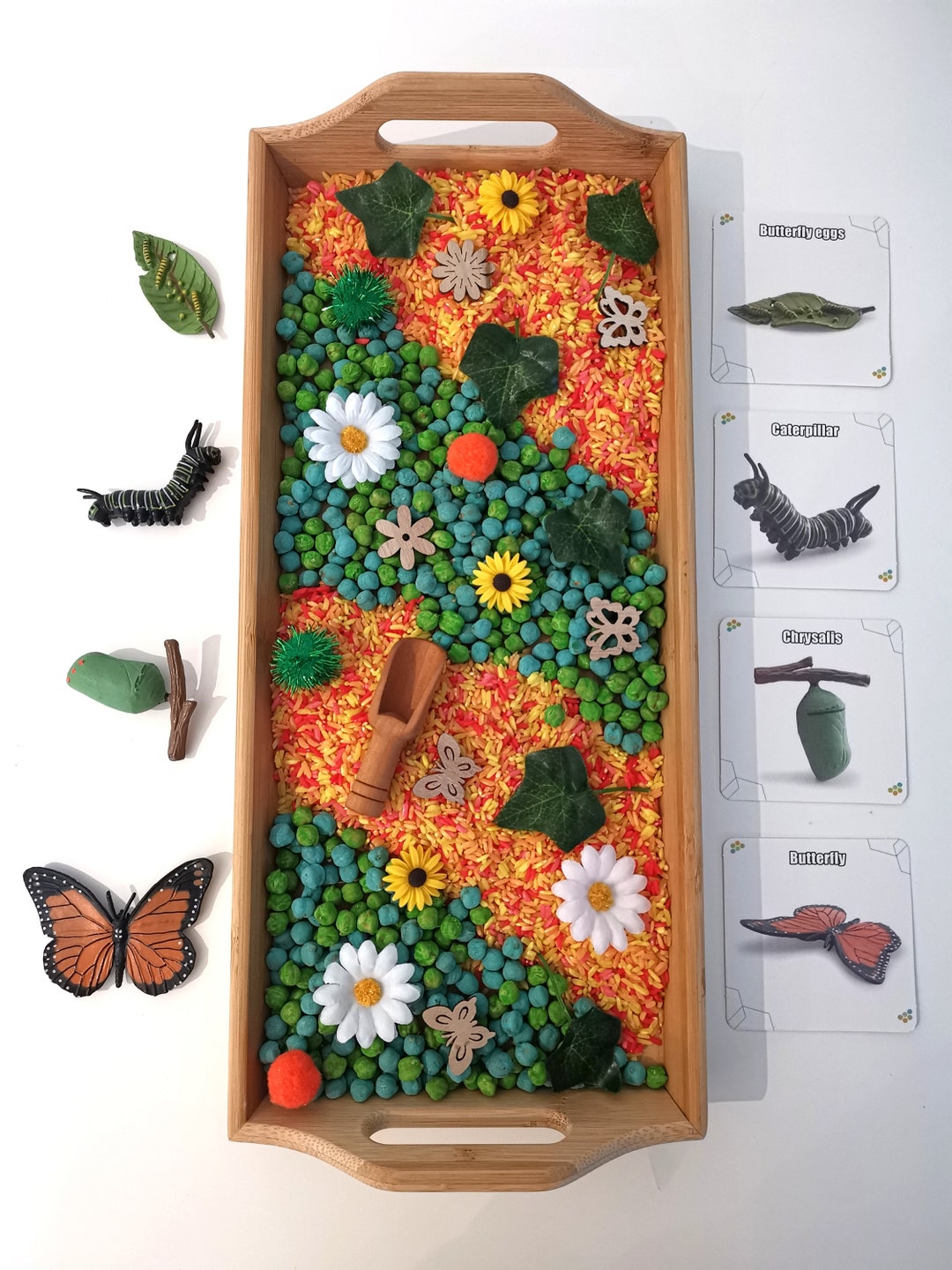 Butterfly Life Cycle Sensory Kit/ Life Cycle Tray/ Butterfly ...