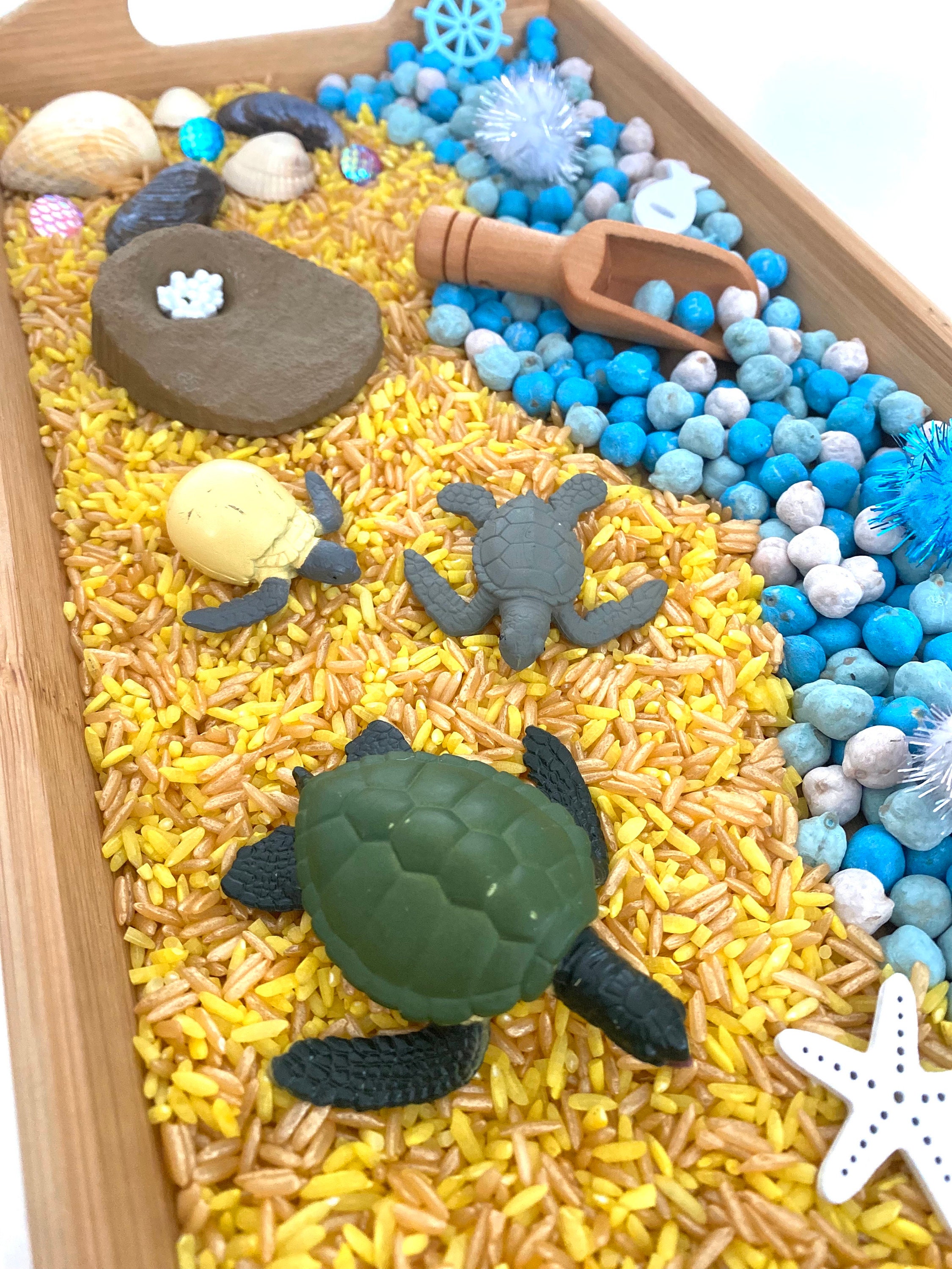 Turtle Life Cycle Sensory Kit/ Tuff Tray/ Turtle/ Ocean/ - Etsy