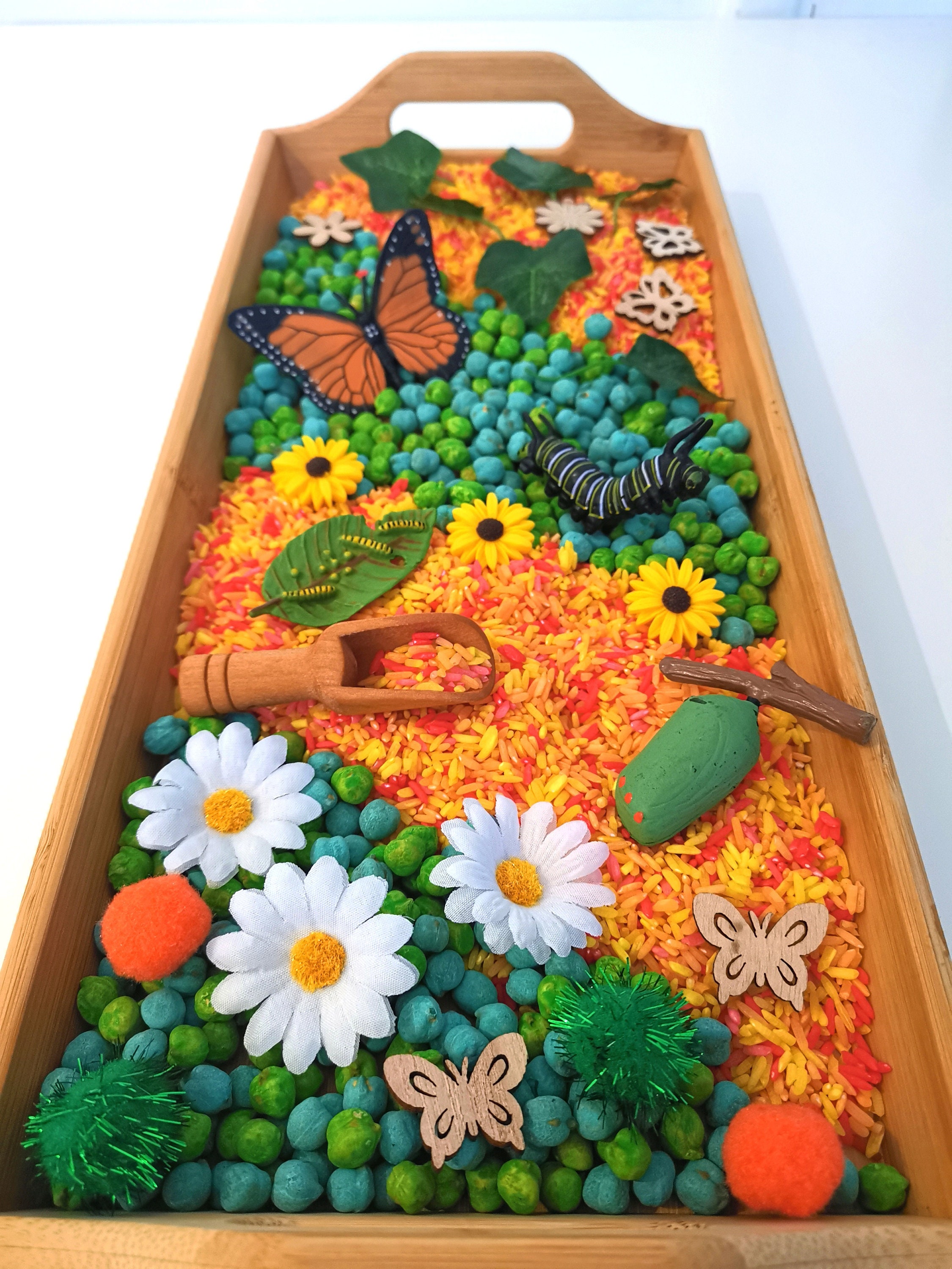 Butterfly Life Cycle Sensory Kit/ Life Cycle Tray/ Butterfly/ - Etsy