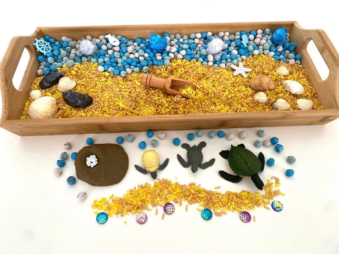 Turtle Life Cycle Sensory Kit/ Tuff Tray/ Turtle/ Ocean/ Learning ...