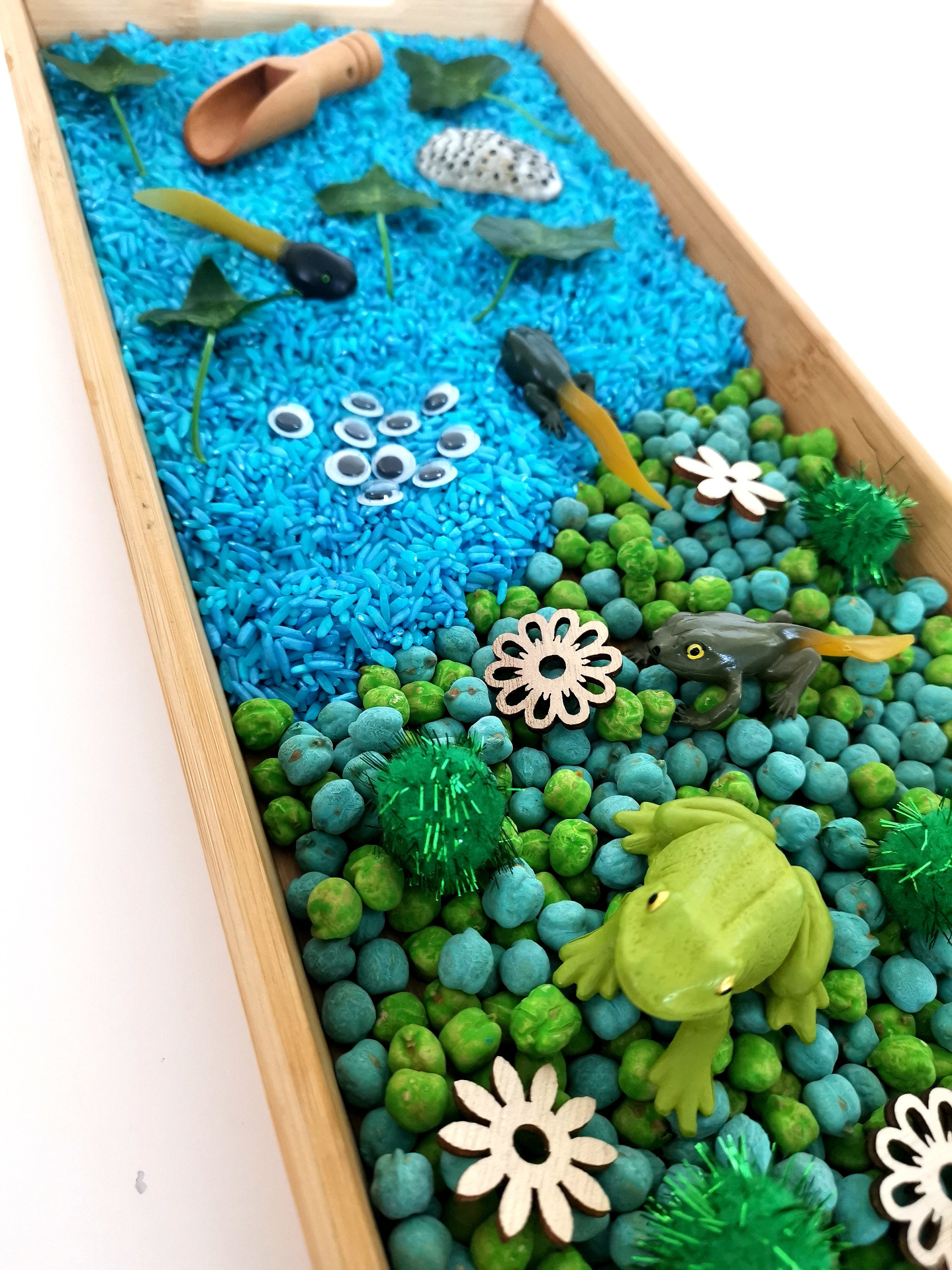 Frog Life Cycle Sensory Kit/ Life Cycle Tray/ Frog/ Tadpole/ - Etsy