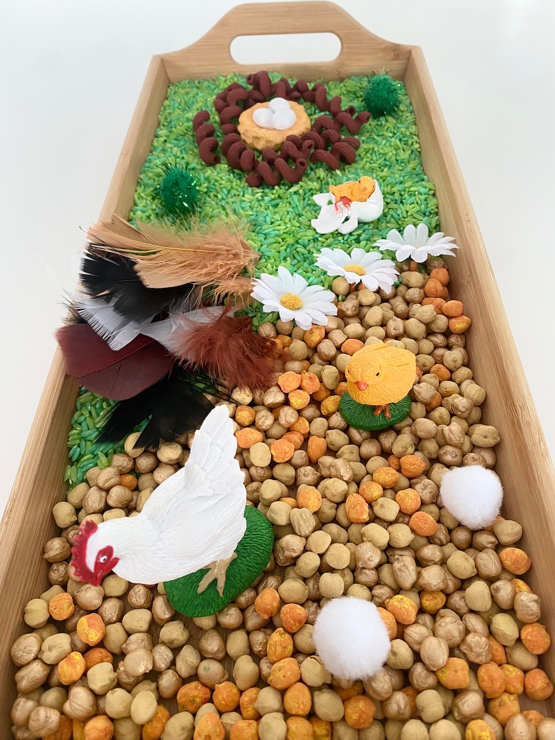 Chicken Life Cycle Sensory Kit/ Life Cycle Tray/ Chicken/ Chick/ Eggs ...