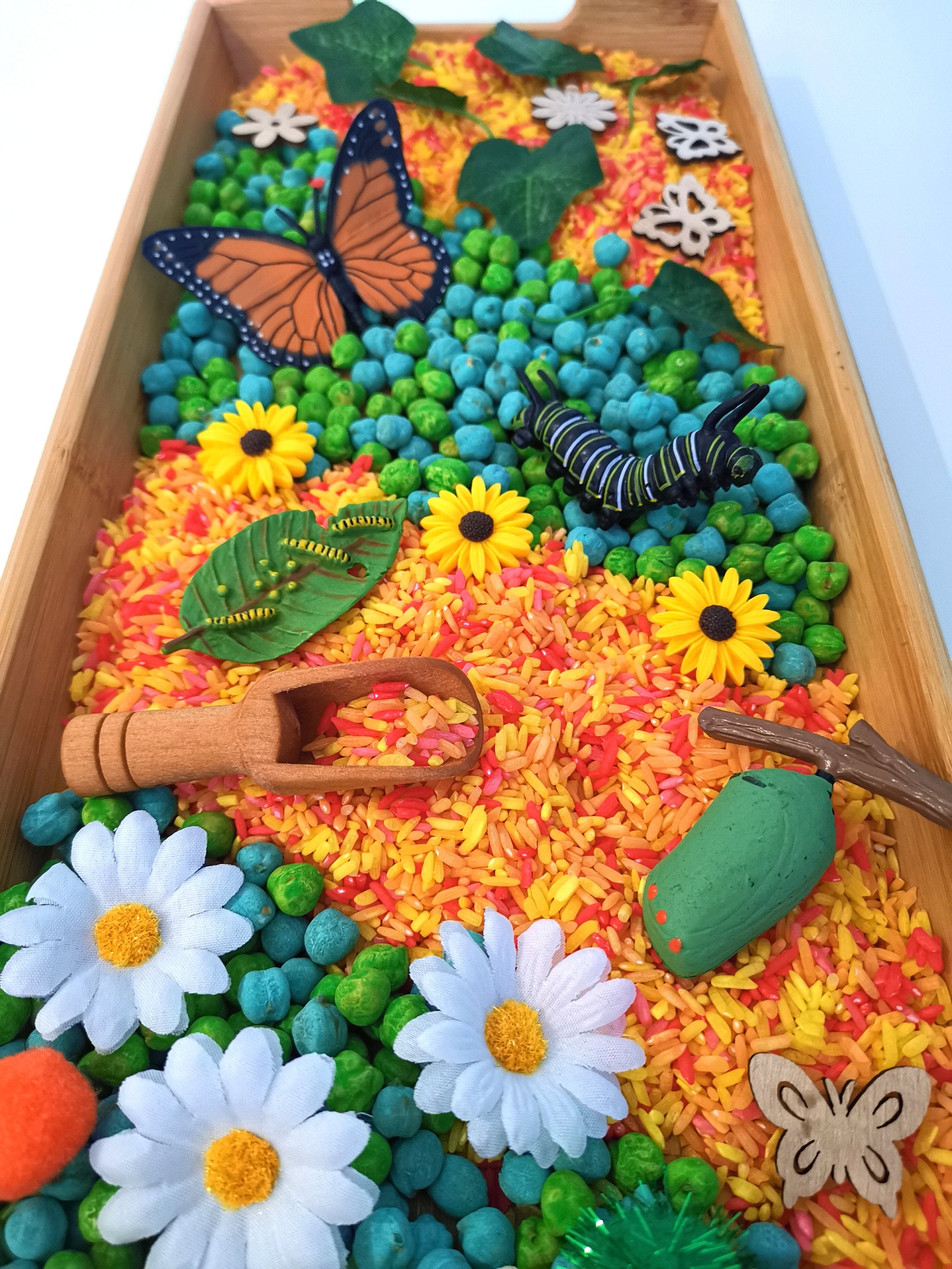 Butterfly Life Cycle Sensory Kit/ Life Cycle Tray/ Butterfly/ - Etsy