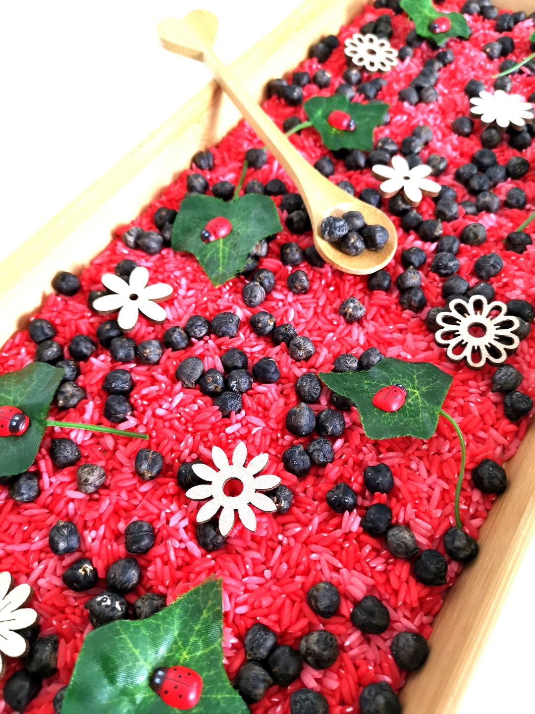 Ladybird Sensory Bin/ Nature Tray/ Insect Play/messy Play/ - Etsy