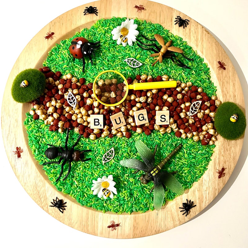 Insect Tuff Tray - Etsy UK