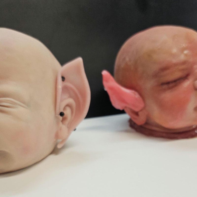 Silicone Ear Model - Etsy