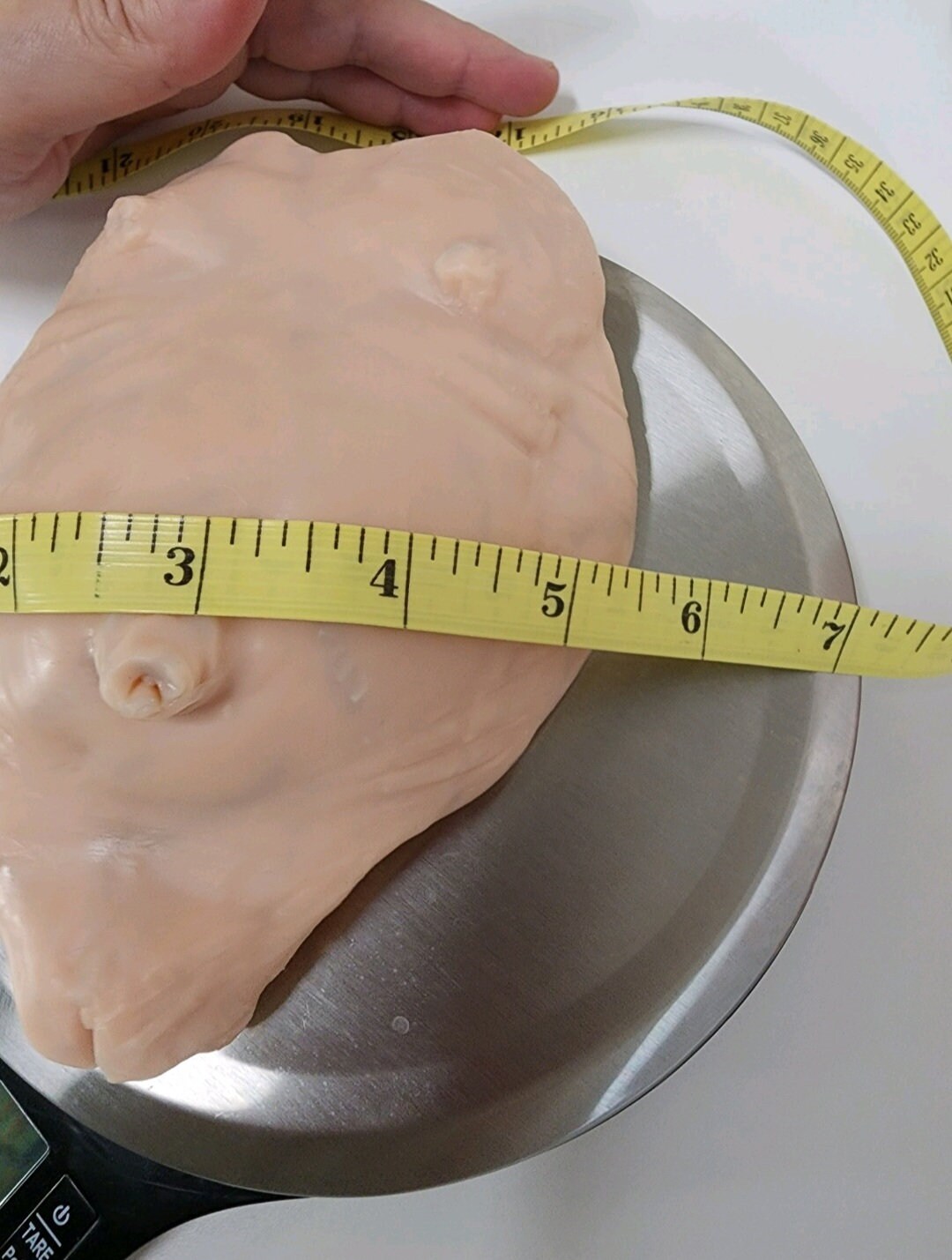 Mold Baby Belly Plate - Etsy