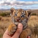 Baby Tiger in Palm of Hand Digital Print, Cute Tiger Cub Nursery Wall ...