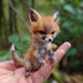 Baby Fox in the Palm of Your Hand (digital Print) - Etsy