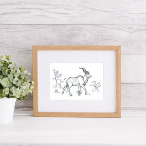 Kudu | Art Print - Etsy