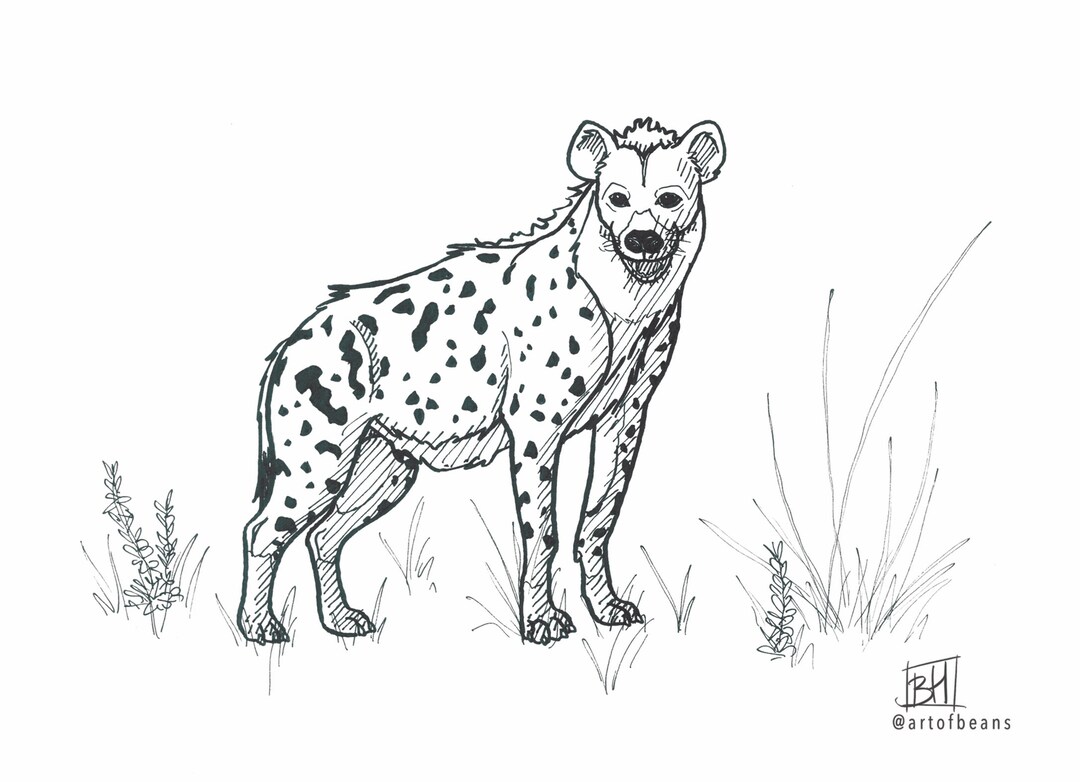 Spotted Hyena | Art Print - Etsy