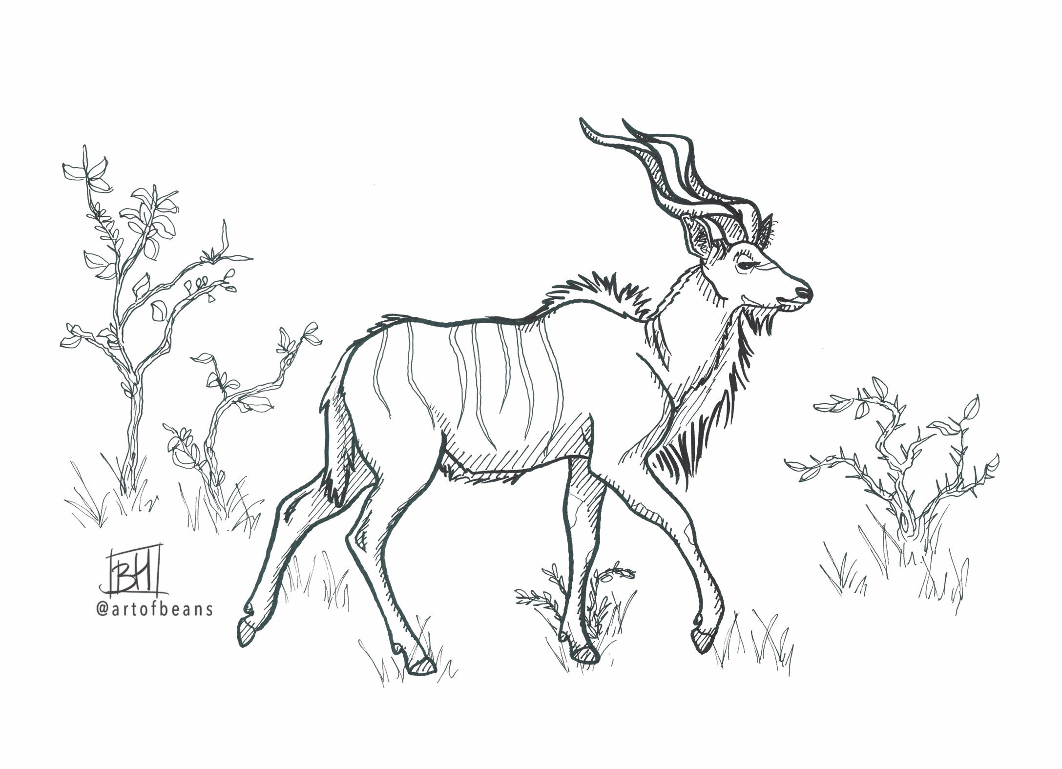 Kudu Art Print - Etsy