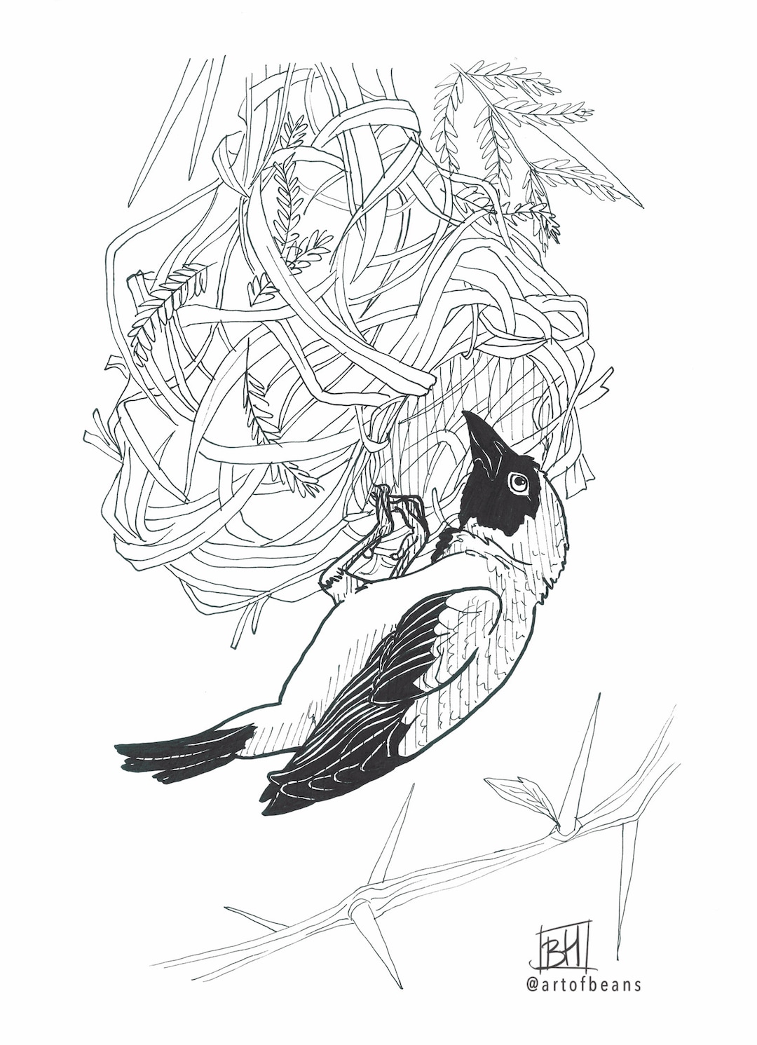 Weaver Bird | Art Print - Etsy