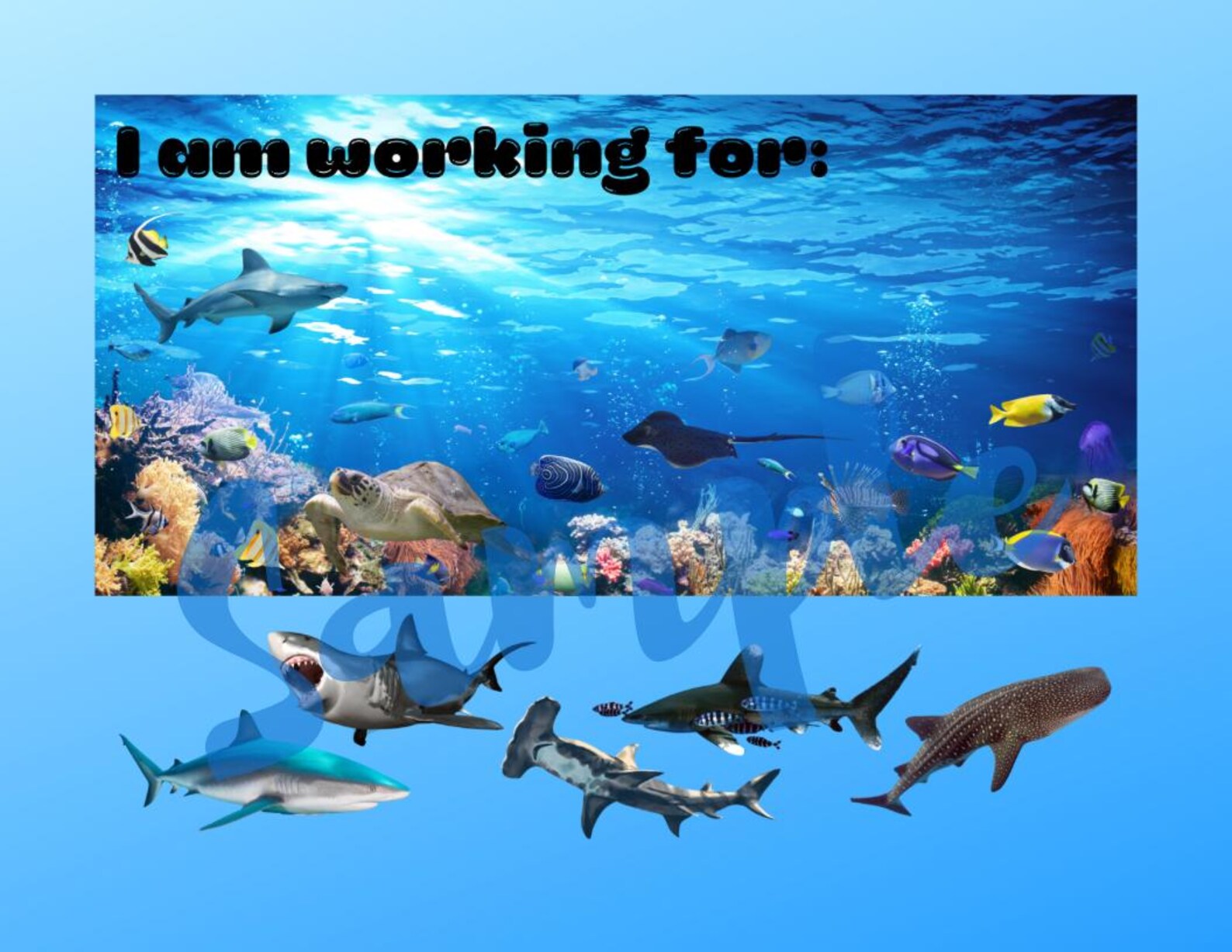 Digital Download SHARKS Token Economy Board Aba Reward System Kids - Etsy