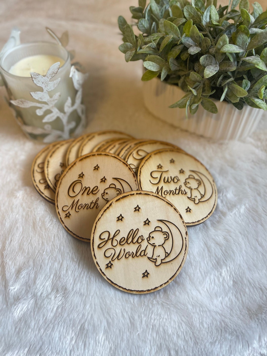 Bear Milestone Months - Etsy
