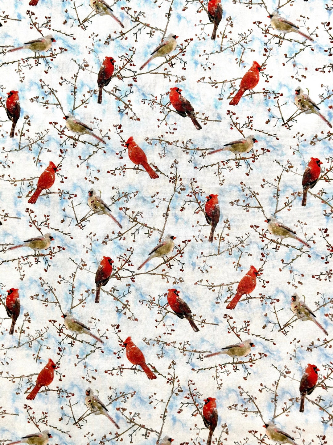 Cardinal Bird Fabric 100% Cotton - Etsy