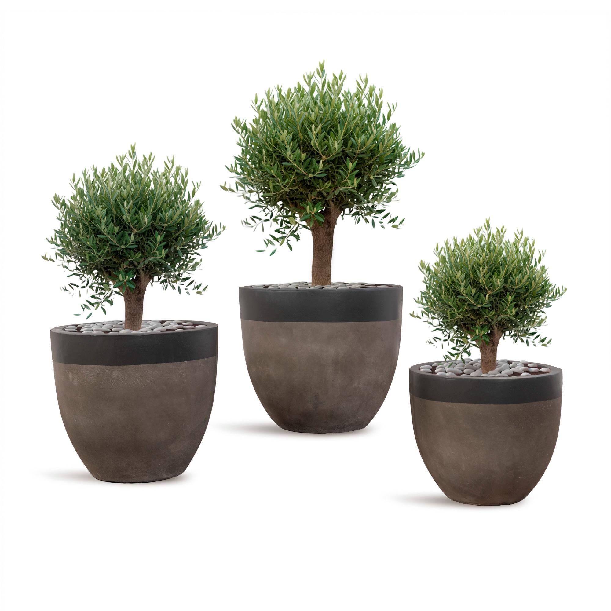 Handmade GFRC Concrete Round Planter, Large Indoor & Outdoor Planter ...
