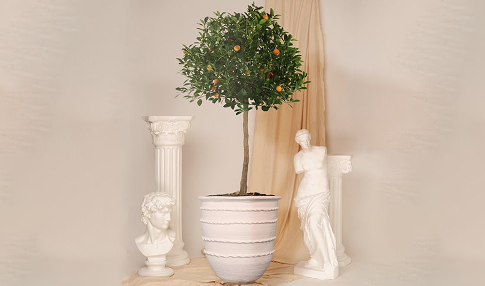 Handmade Gfrc(glass Fiber Rainforced Concrete) Planter, İndoor ...
