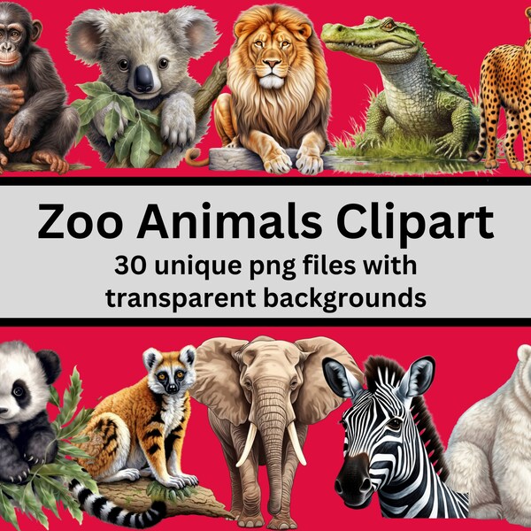 Zoo Clipart - Etsy