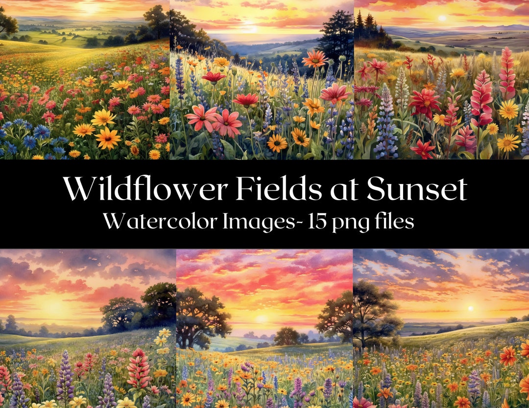 Wildflower Fields at Sunset Watercolor Digital Images, Wildflower ...