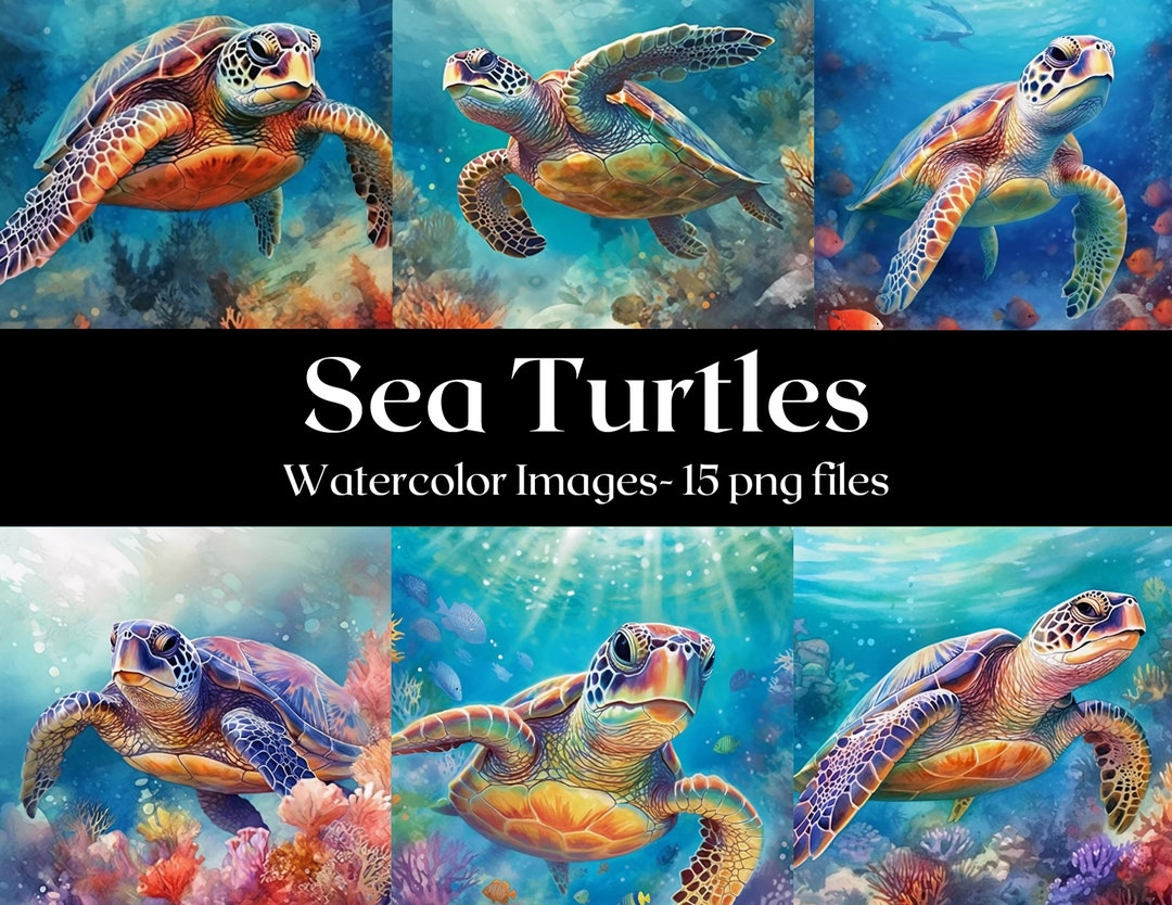 Sea Turtle Watercolor Images, Turtle Digital Images, Turtle Clipart ...
