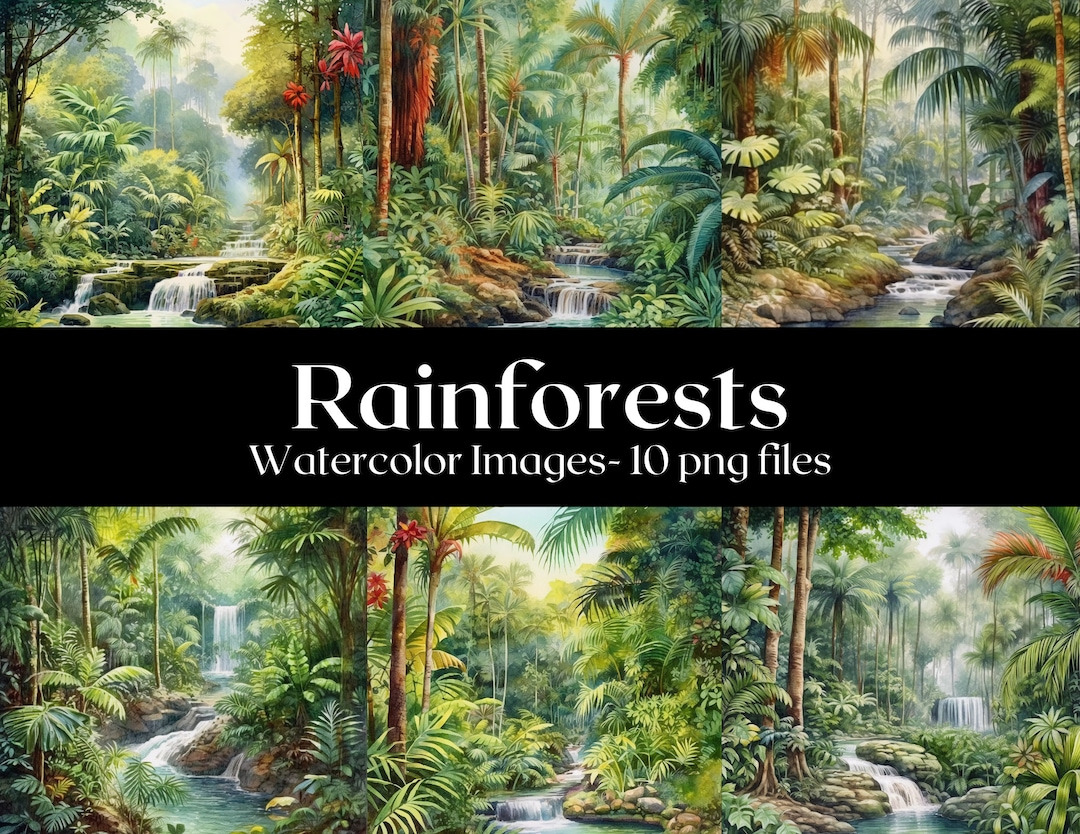 Rainforest Watercolor Images, Rainforests Digital Art, Rainforest ...