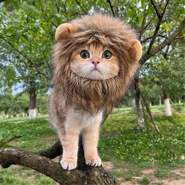 Lion Hat for Cats - Etsy
