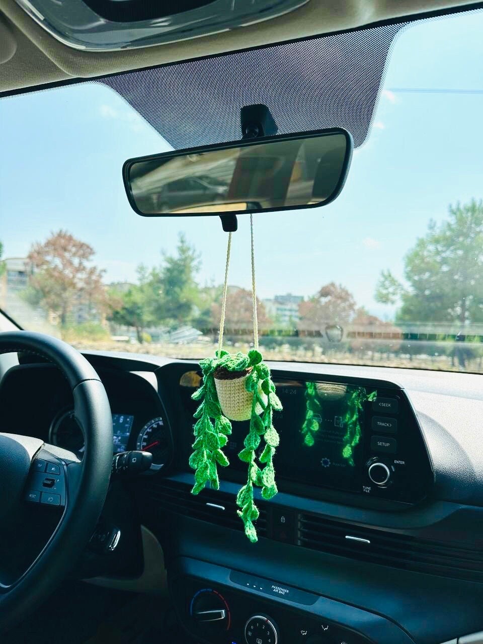 Monstera Lives Mirror Hanging for Car, Car Plant, Crochet Monstera Car ...