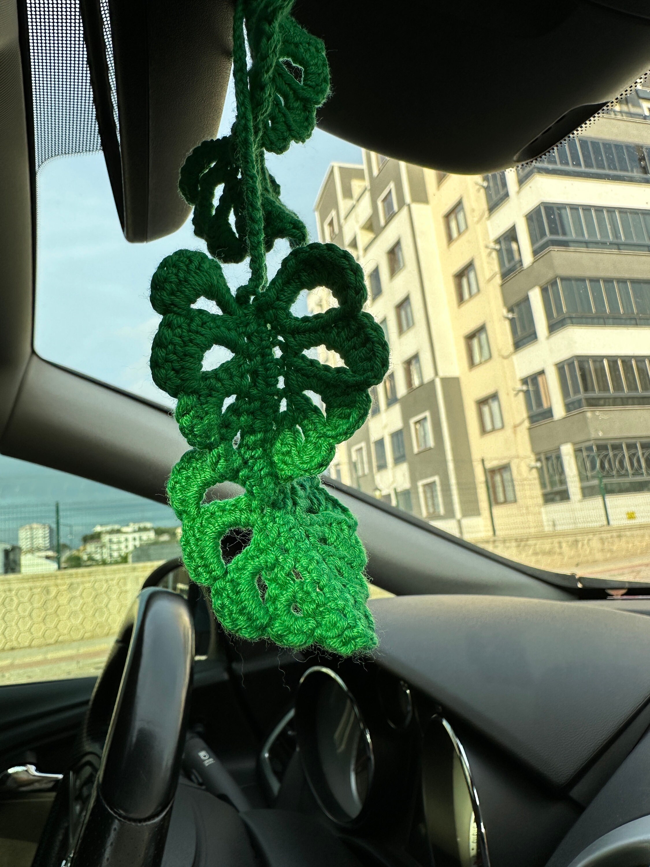 Monstera Lives Mirror Hanging for Car, Car Plant, Crochet Monstera Car ...