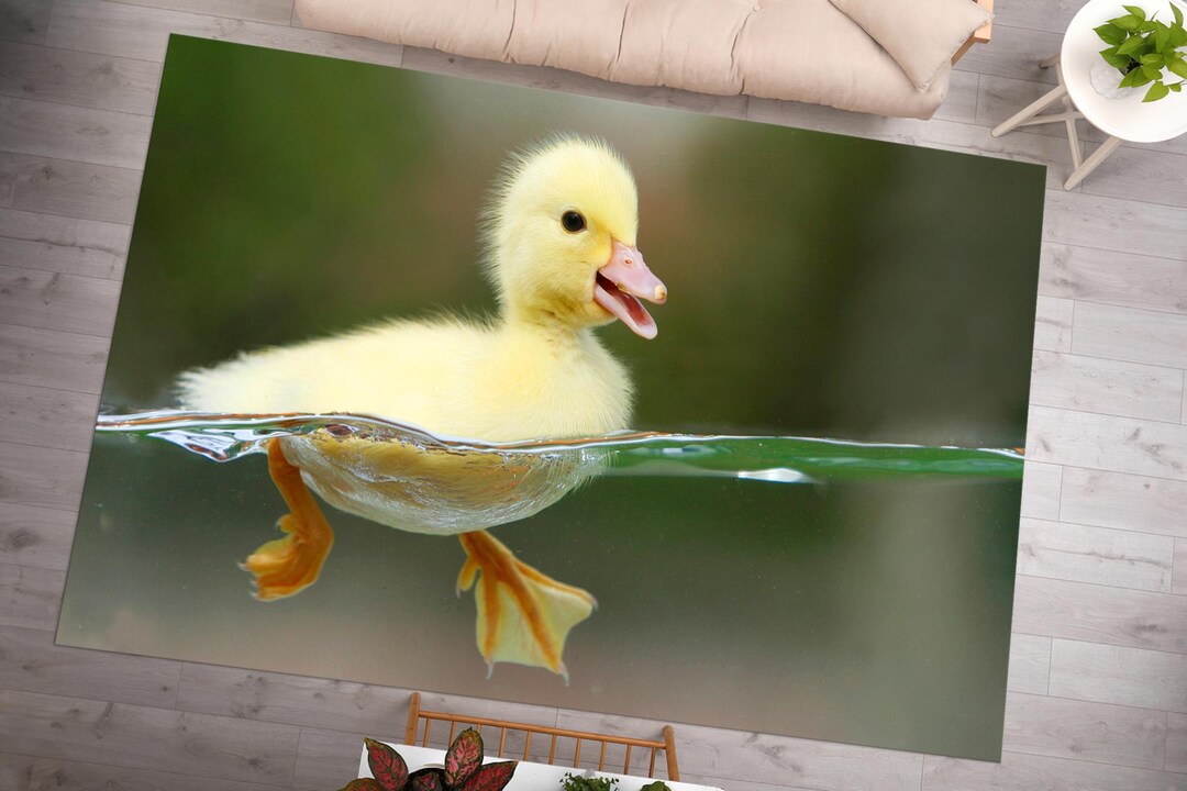 Cute Baby Duck Rugs, Bathroom Rug, Baby Duck Rug, Animal Rug, Non-slip ...